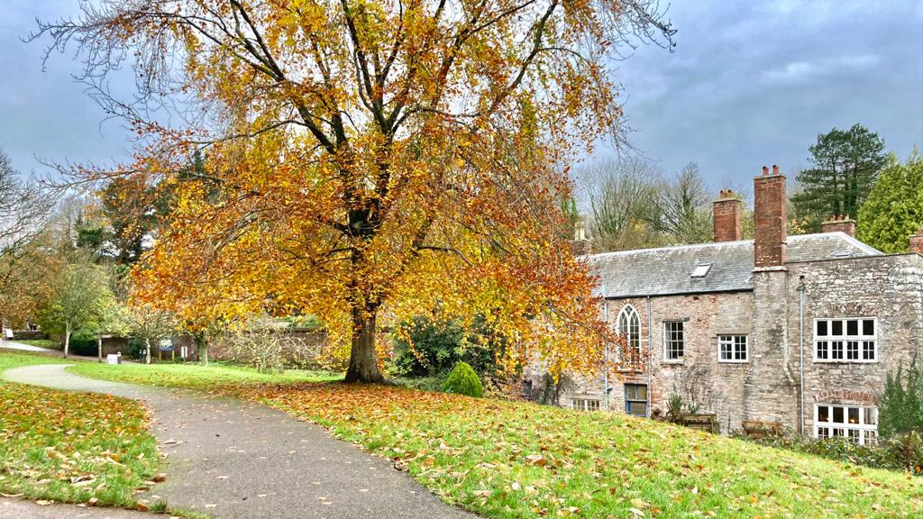 Call-out: Site-responsive family experience at Cockington Court ...